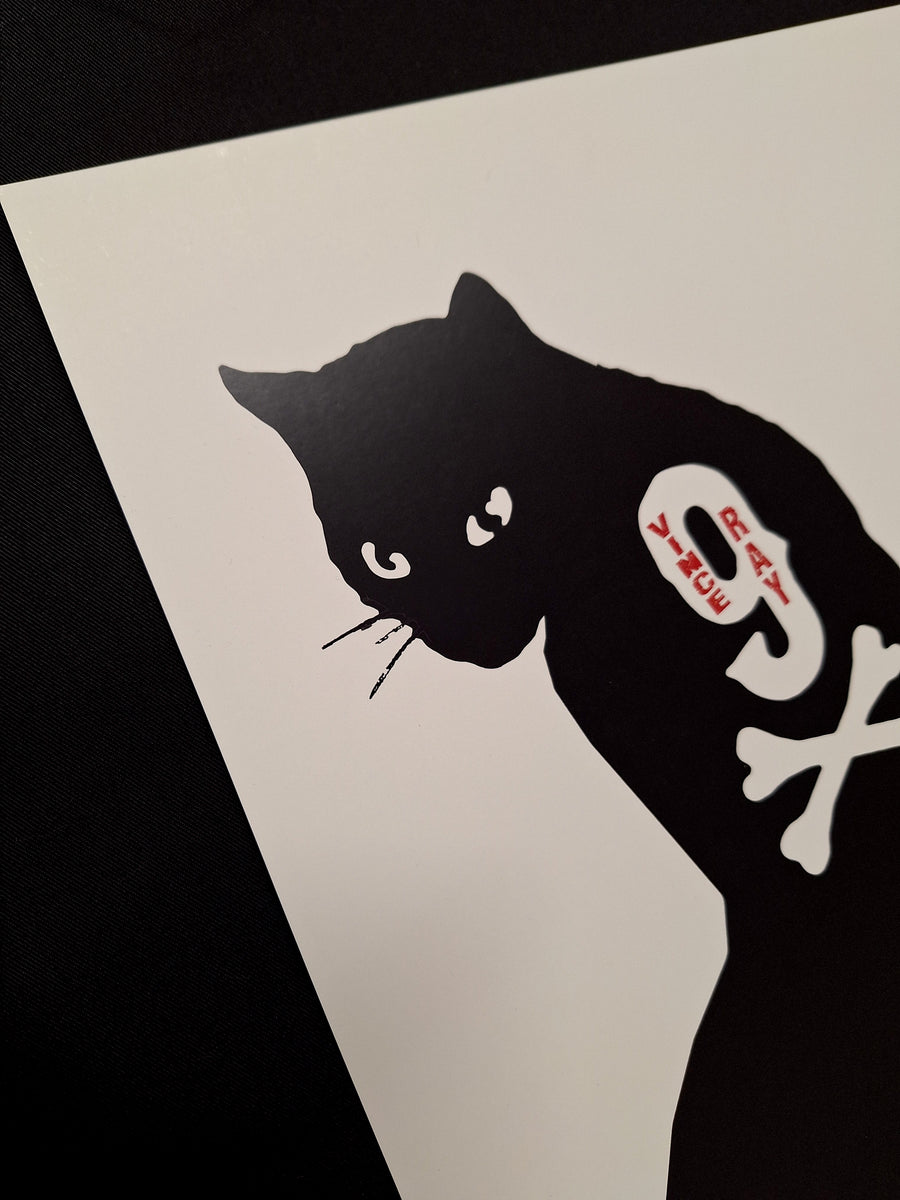 Cat A3 Poster Print – Vince Ray